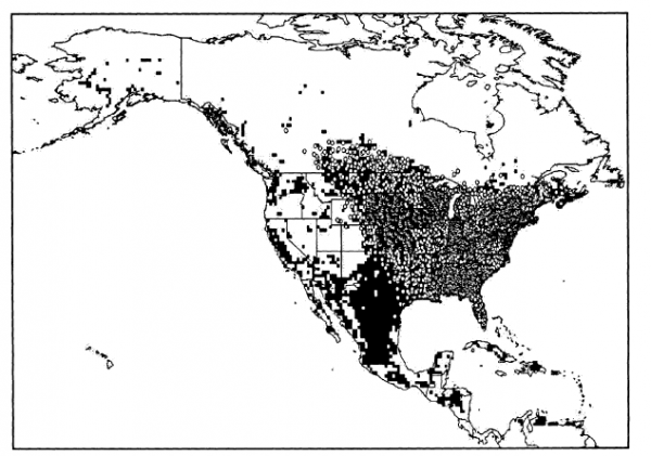 Back to School – Ecological Modeling - Apollo Mapping