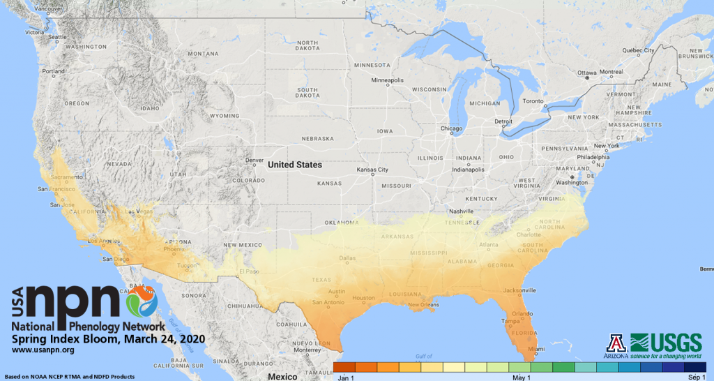 Free for All – April: Free Spring Status Maps - Apollo Mapping