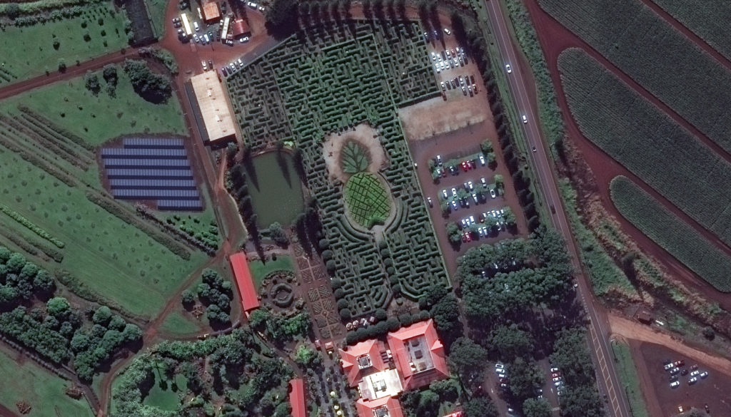 30-cm Color WorldView-3/4 Image of the Month – Dole’s Pineapple Garden ...